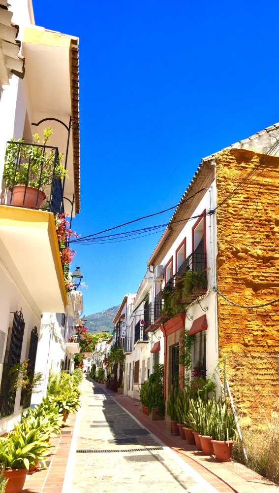 Exceptional ALIEN | Exceptional ALIEN